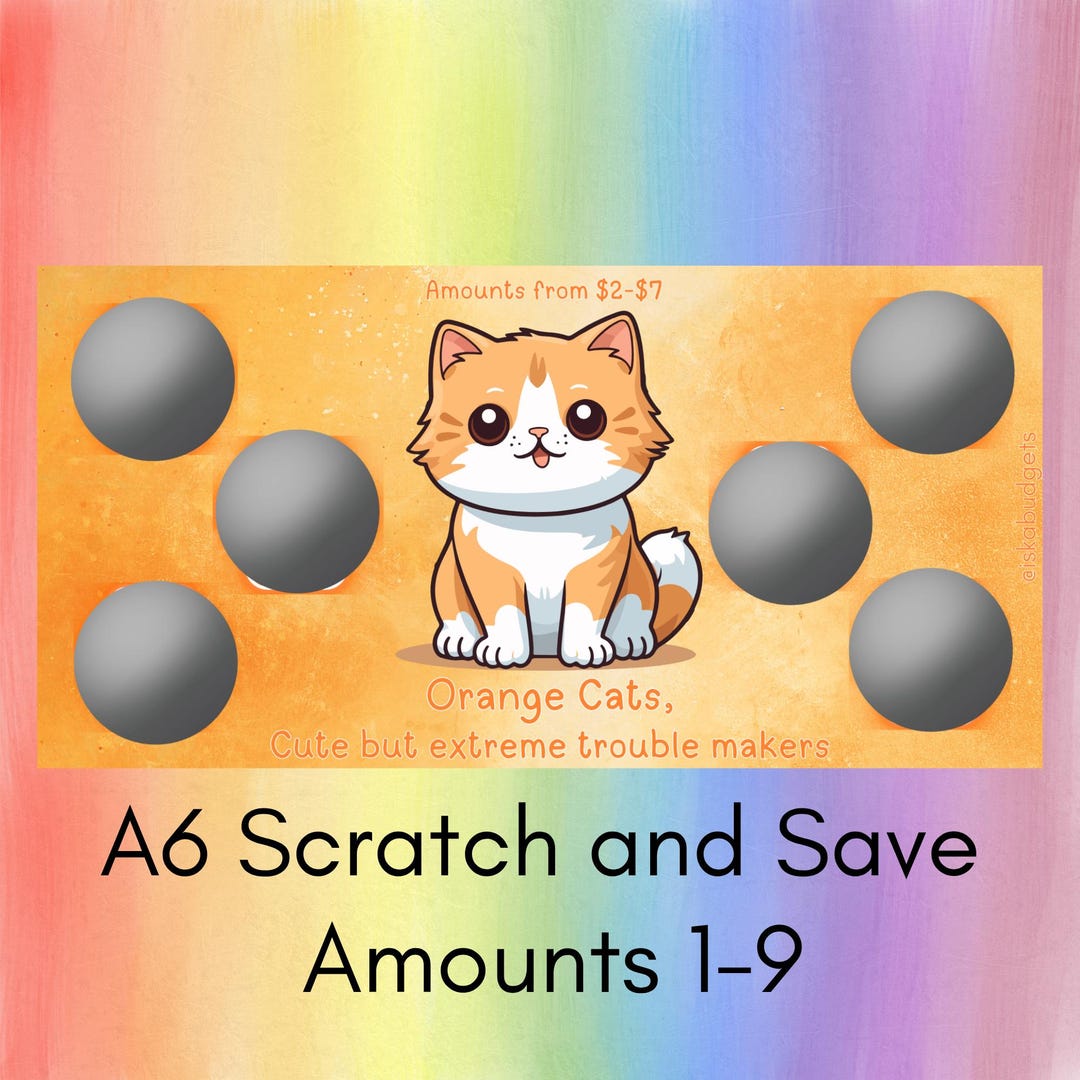 A6 Orange Cat Scratch off Savings Challenge | Laminated Scratch and ...