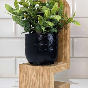 Modern Floating Plant Shelf - Etsy Canada