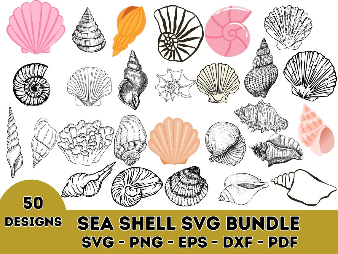 Seashell SVG Bundle, Seashell PNG Bundle, Seashell Clipart, Seashell ...