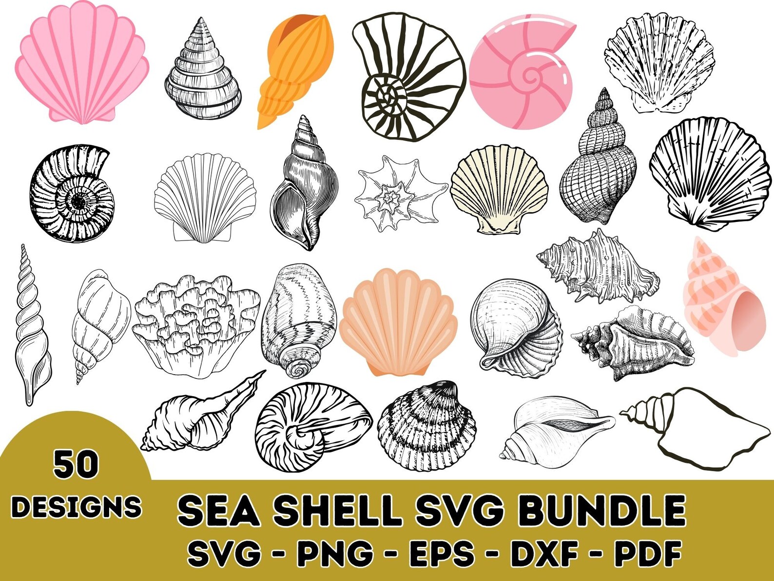 Seashell SVG Bundle, Seashell PNG Bundle, Seashell Clipart, Seashell ...