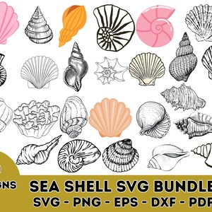 Seashell SVG Bundle, Seashell PNG Bundle, Seashell Clipart, Seashell ...