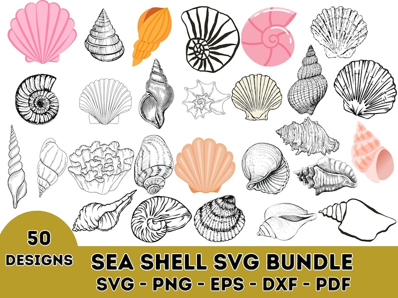 Seashell SVG Bundle, Seashell PNG Bundle, Seashell Clipart, Seashell ...