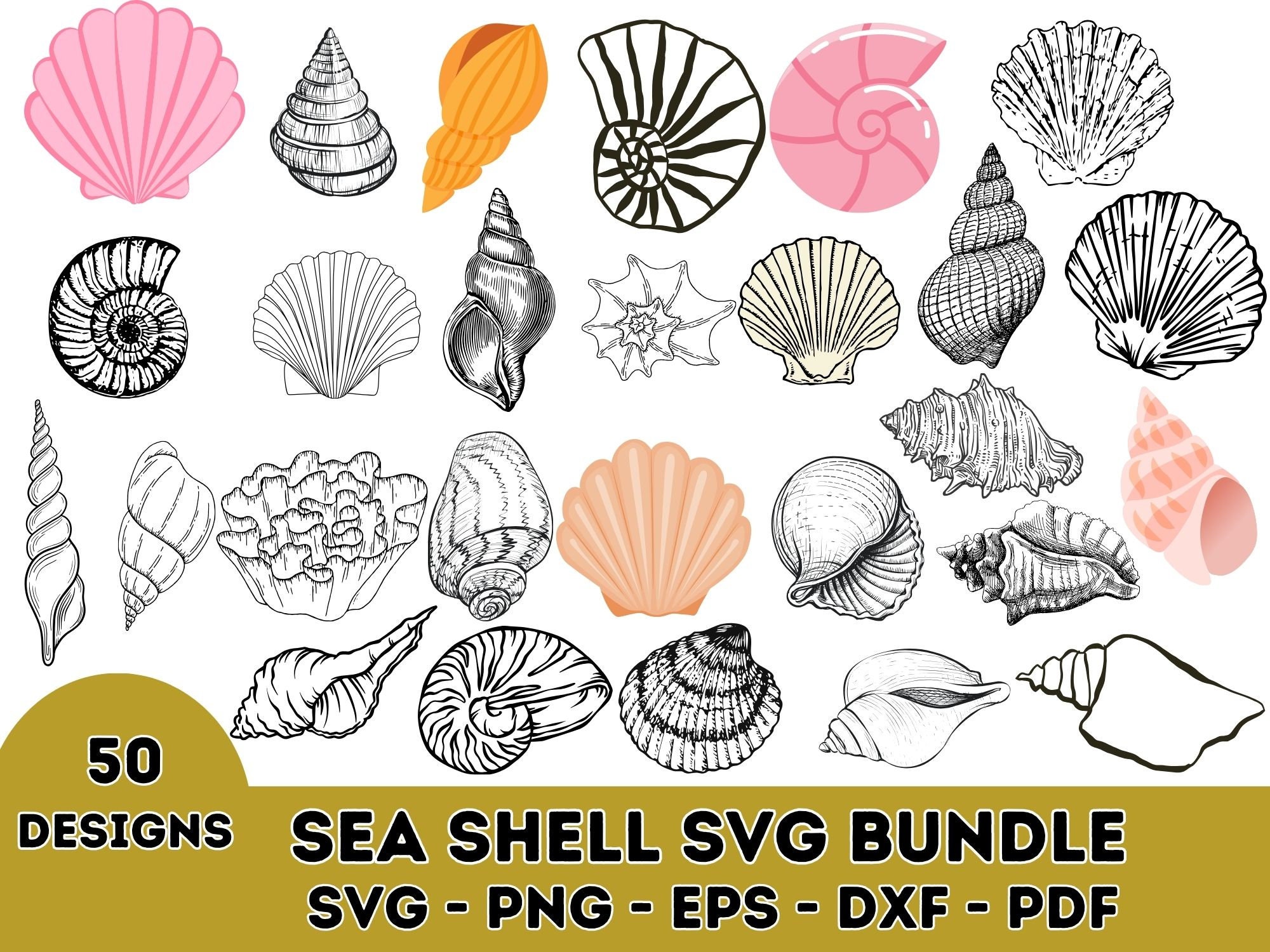 Seashell SVG Bundle, Seashell PNG Bundle, Seashell Clipart, Seashell ...