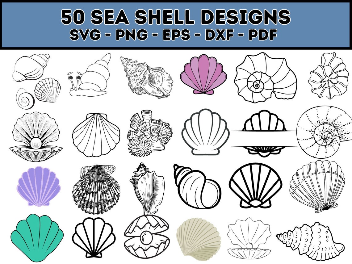Seashell SVG Bundle, Seashell PNG Bundle, Seashell Clipart, Seashell ...