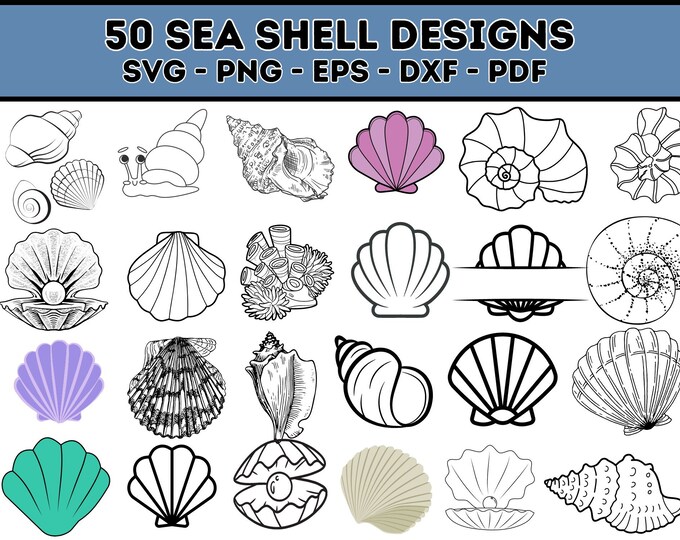 Seashell SVG Bundle, Seashell PNG Bundle, Seashell Clipart, Seashell ...