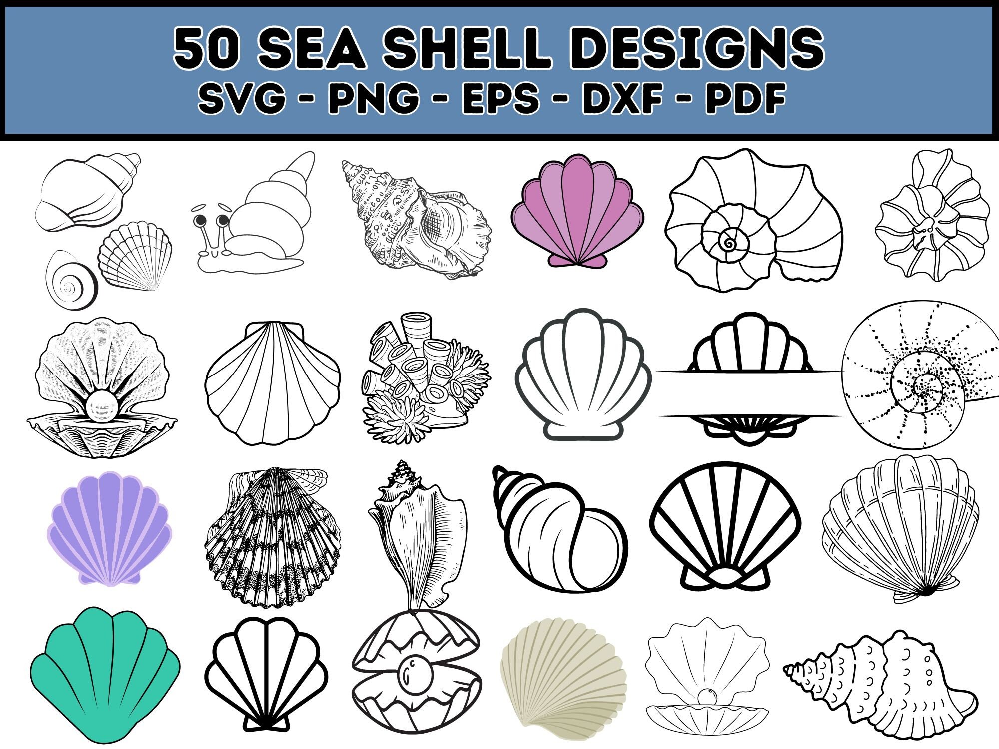Seashell SVG Bundle, Seashell PNG Bundle, Seashell Clipart, Seashell ...