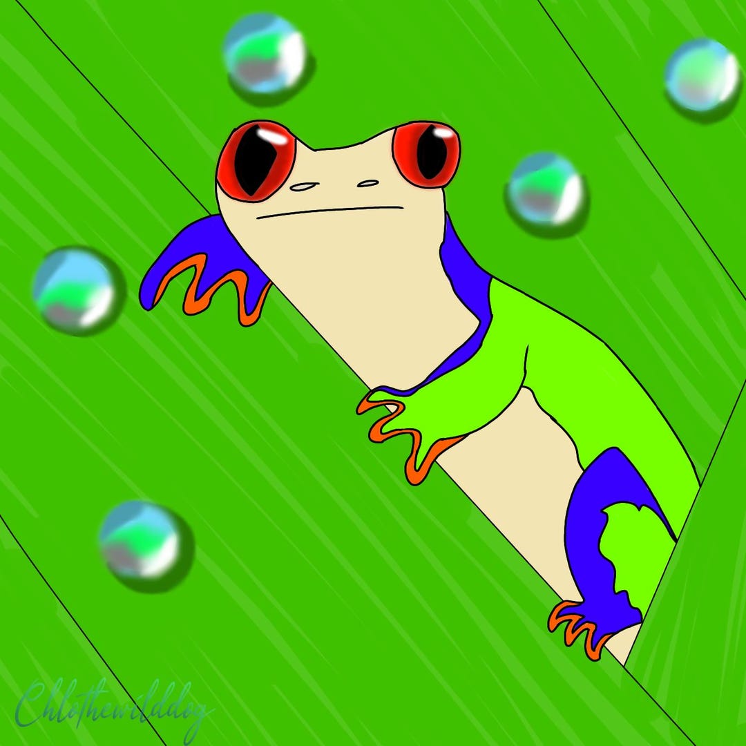 Red Eyed Tree Frog Poster - Etsy