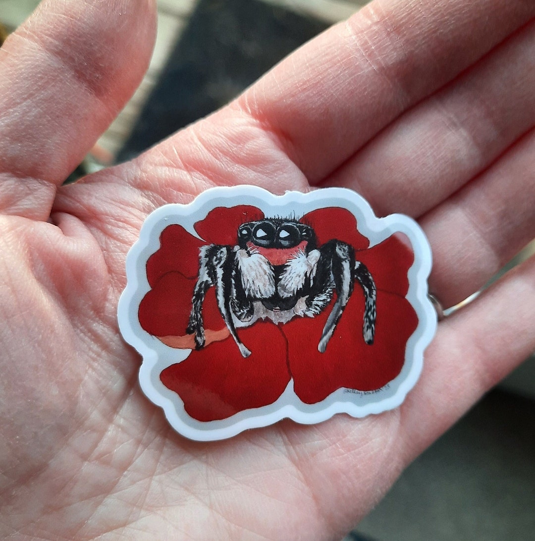 Jumping Spider Vinyl Sticker - Etsy