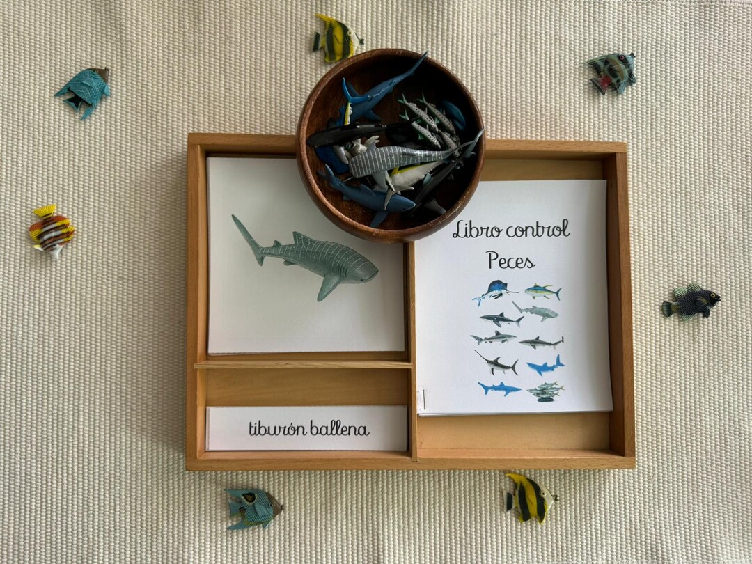 Montessori Nomenclature - Types of Fish | Watercolor Flashcards - Etsy