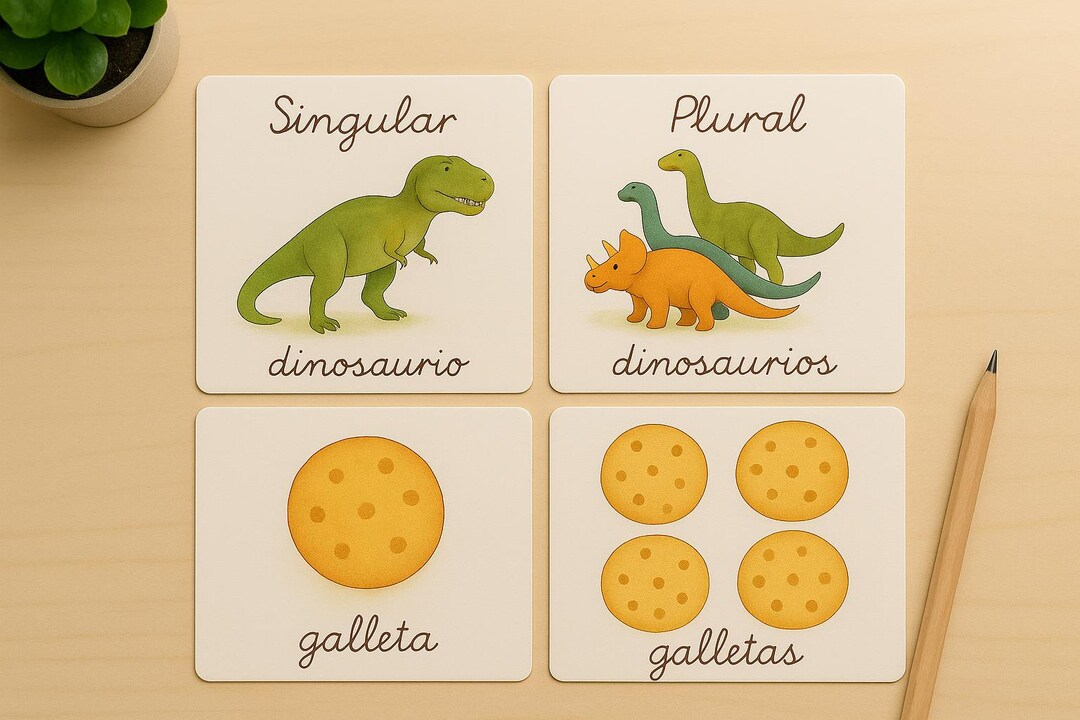 Montessori Singular and Plural Noun Cards – Educational Material in ...