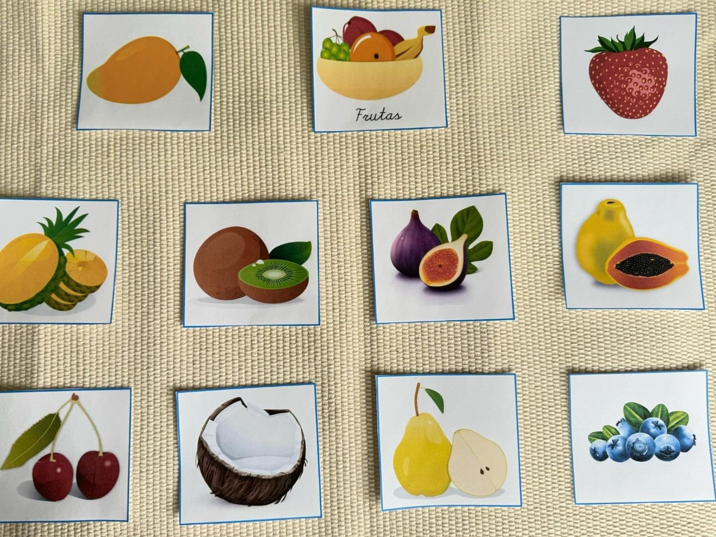 Montessori Vocabulary Cards - Etsy