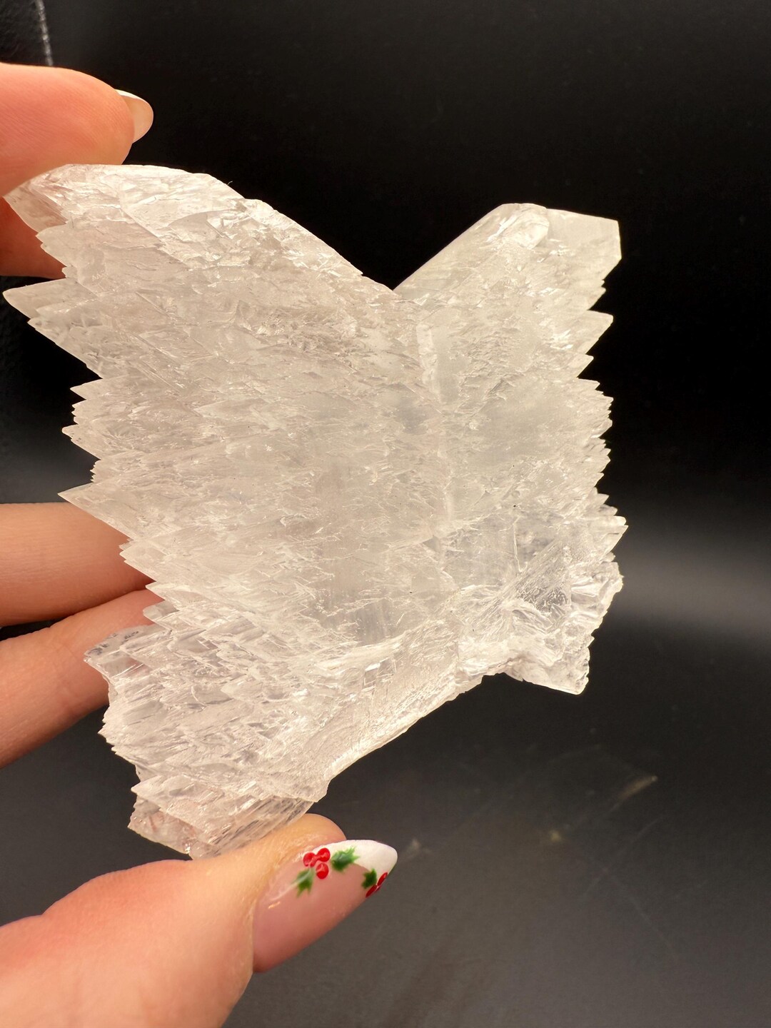 Fishtail Selenite Angel Wing Selenite Specimen - Etsy