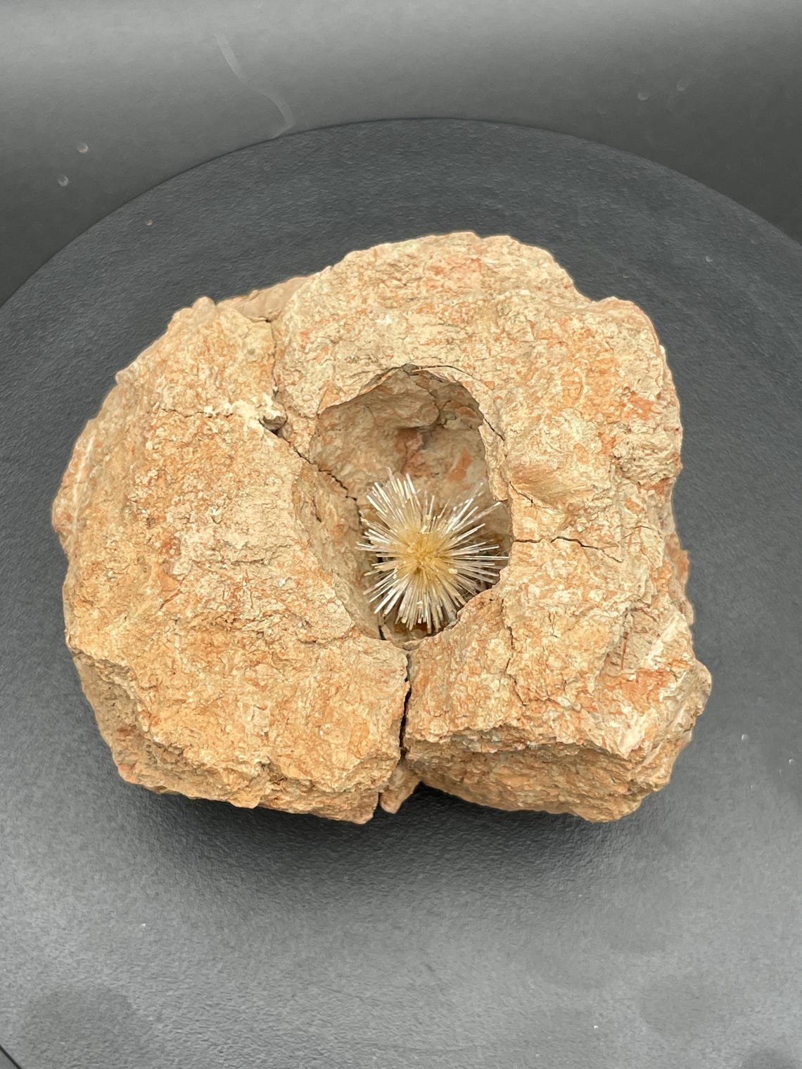 Fully Acicular Aragonite in Matrix - Etsy