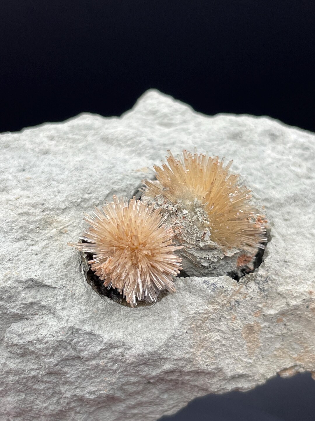 Fully Acicular Aragonite in Matrix - Etsy