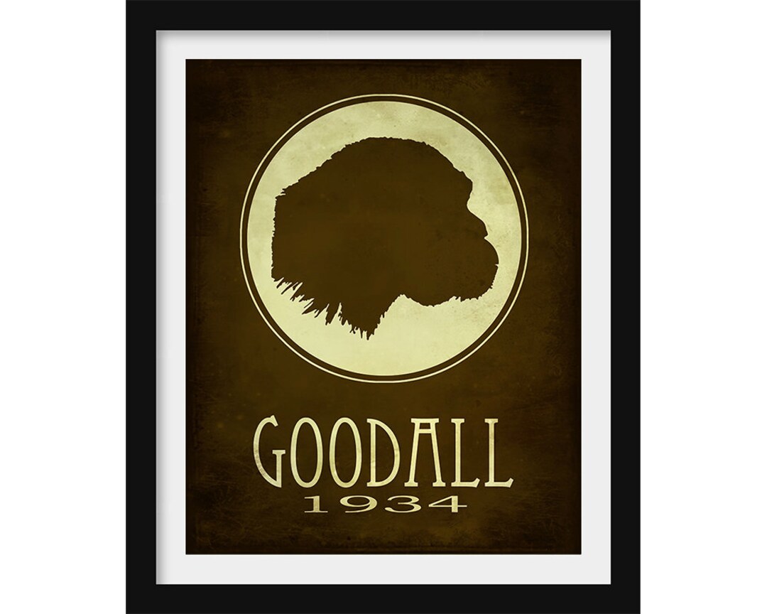 Jane Goodall Art Print, Chimpanzee Illustration, Zoology Poster - Etsy