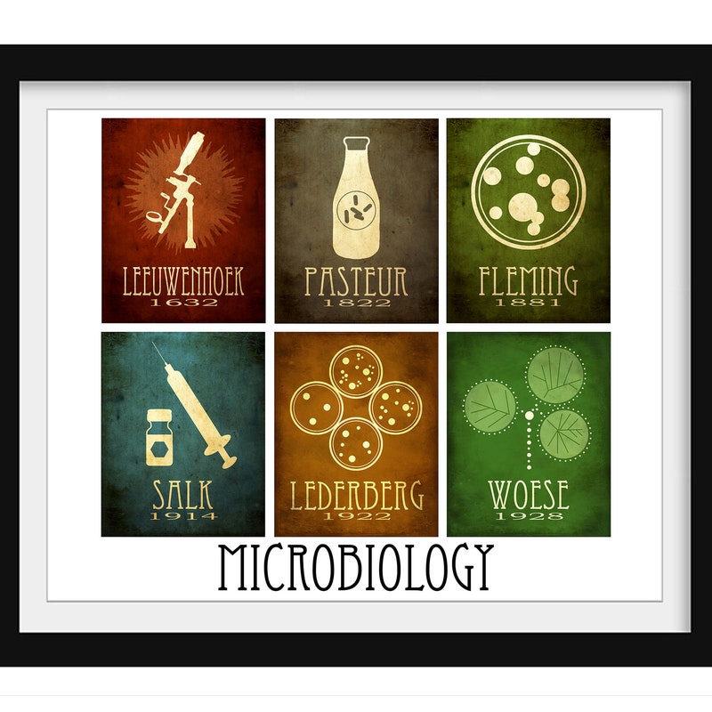 Microbiology Poster - Etsy