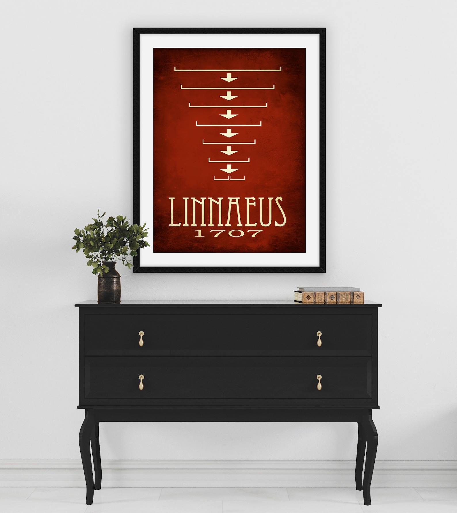 Carl Linnaeus Zoology Art Print Botany and Biology Gift - Etsy