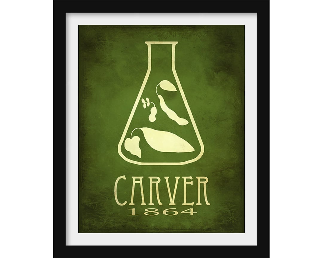 George Washington Carver Scientist Art Print, Chemistry and Botany ...