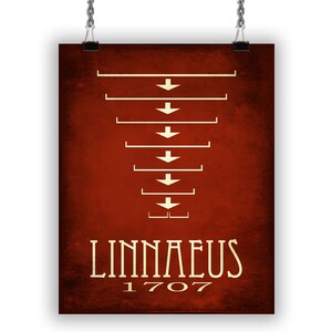 Carl Linnaeus Zoology Art Print, Botany and Biology Gift, Educational ...