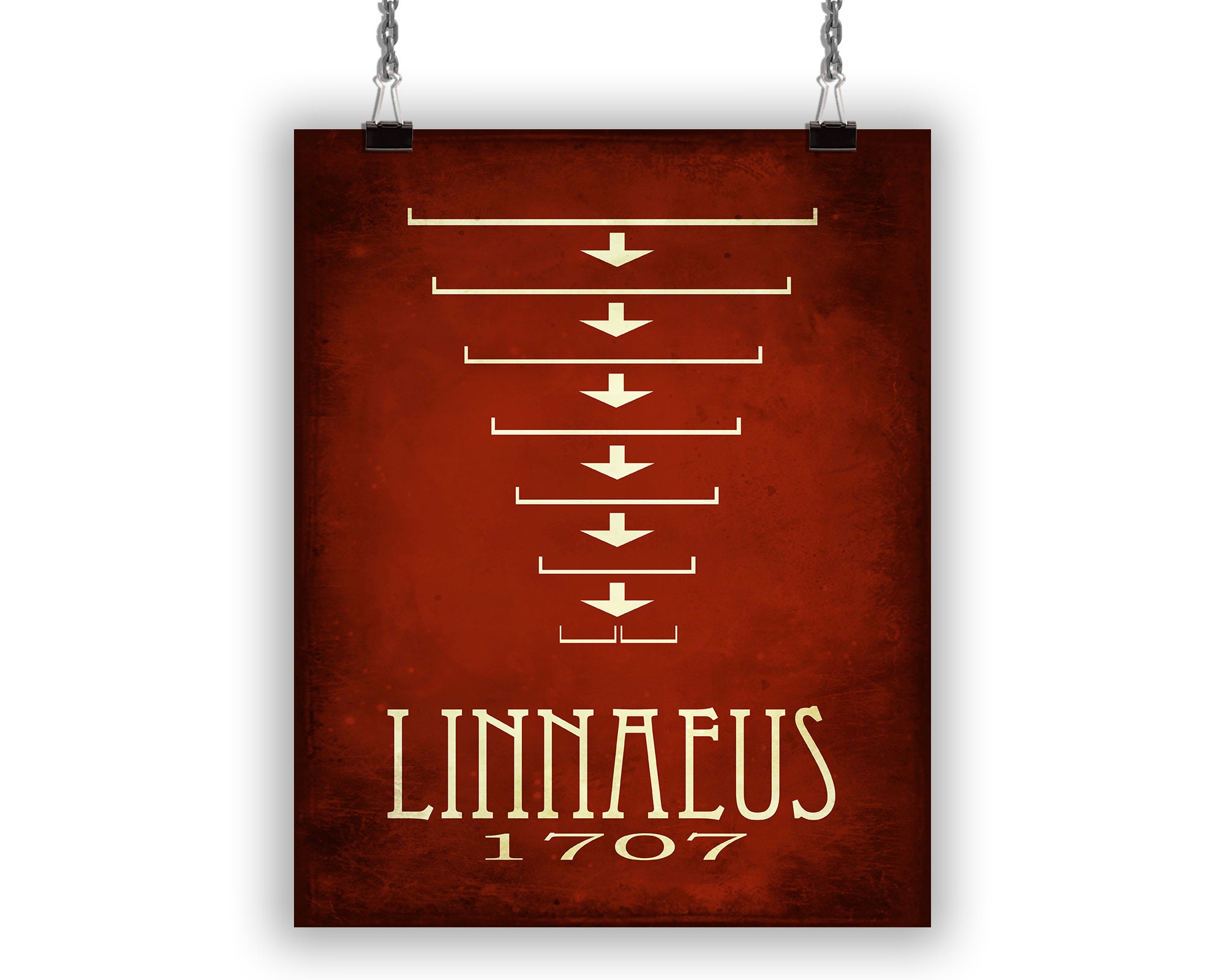 Carl Linnaeus Zoology Art Print, Botany and Biology Gift, Educational ...