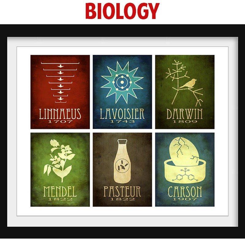 Biology Poster - Etsy