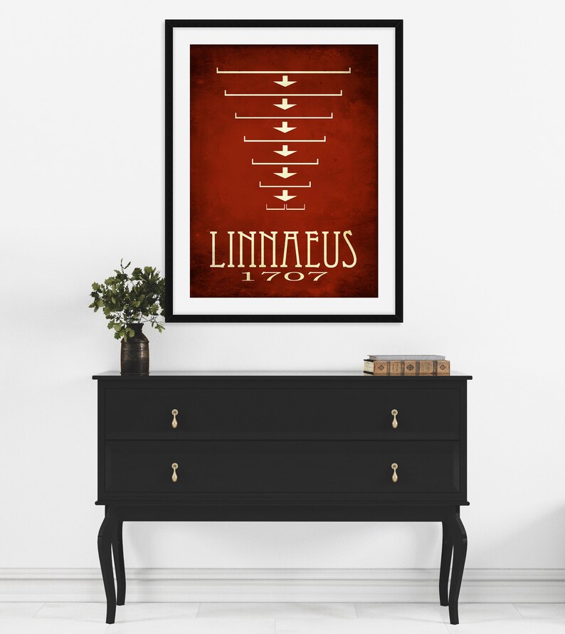 Carl Linnaeus Zoology Art Print Botany and Biology Gift - Etsy