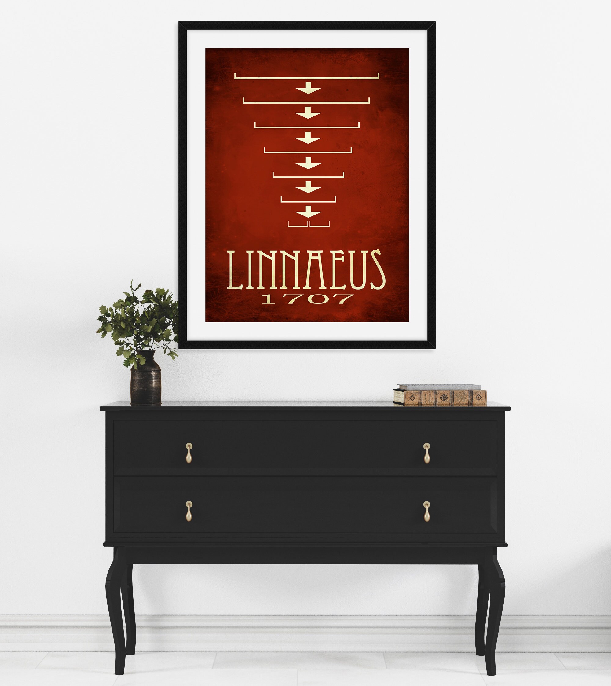 Carl Linnaeus Zoology Art Print, Botany and Biology Gift, Educational ...