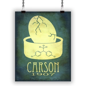 Rachel Carson Biology Art Print, Marine Biologist or Environmentalist ...