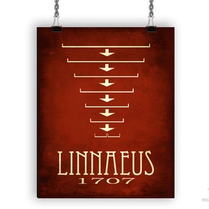 Carl Linnaeus Zoology Art Print Botany and Biology Gift - Etsy