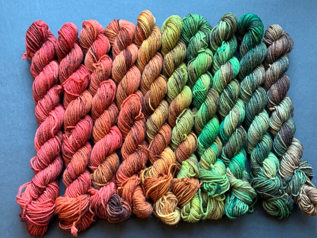 Forest School - 200g Mini Micro Skein Set of Gradient Hand Dyed Sock ...