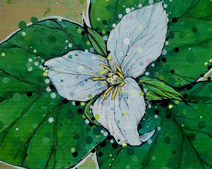 White Trillium Stinking Benjamin Maine Acrylic Landscape Nature ...