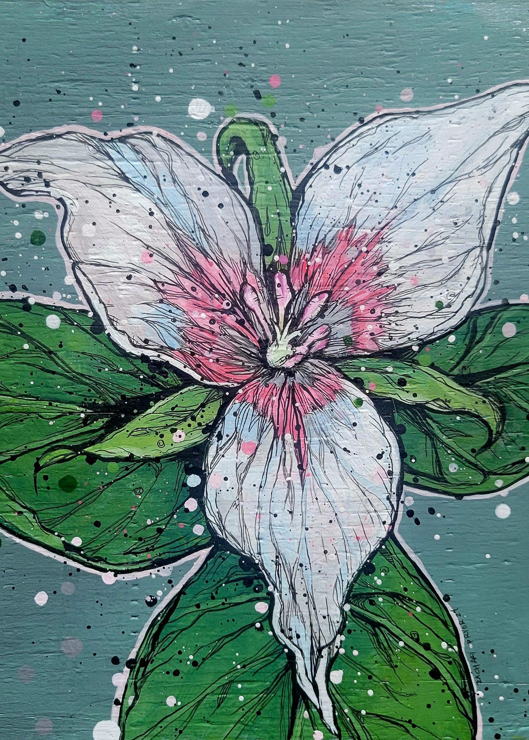 Painted Trillium Stinking Benjamin Maine Acrylic Landscape Nature ...