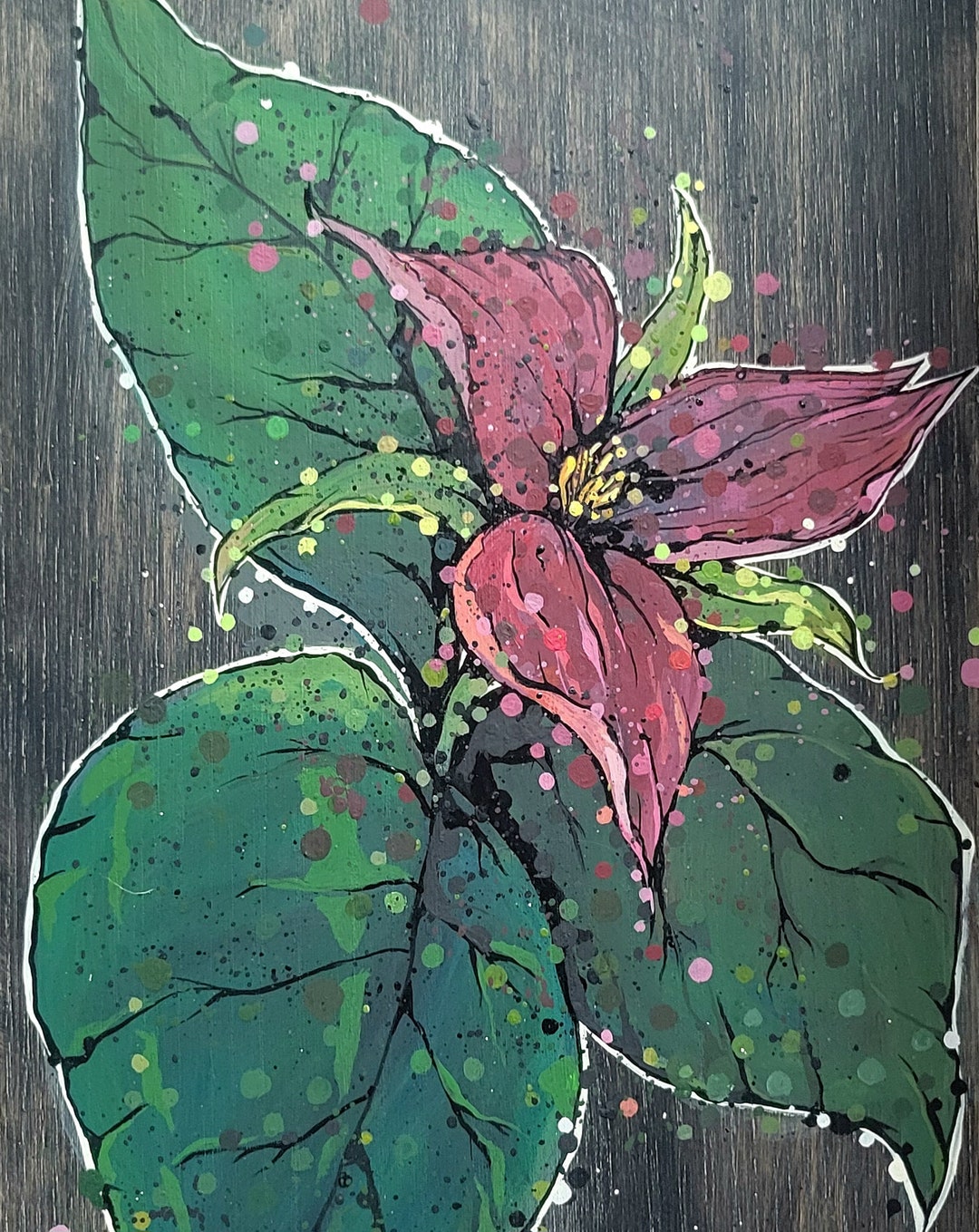 Trillium Stinking Benjamin Maine Landscape Nature Limited Print - Wall ...