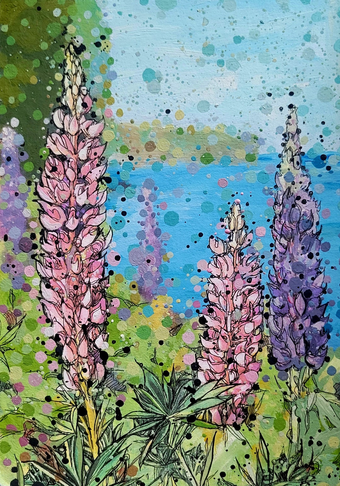 Lupines in Acadia Maine Landscape Nature Limited Matted Print - Flower ...