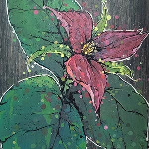 Trillium Stinking Benjamin Maine Landscape Nature Limited Print - Wall ...