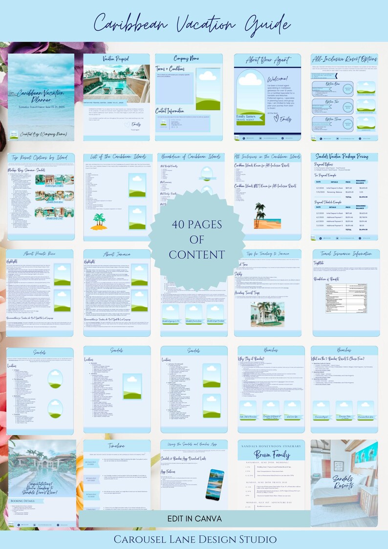 Caribbean Vacation Guide- Focused on Sandals - Etsy