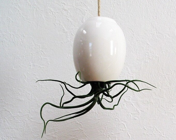 Hanging Air Plant Pod (tm) - Gorgeous White - Etsy