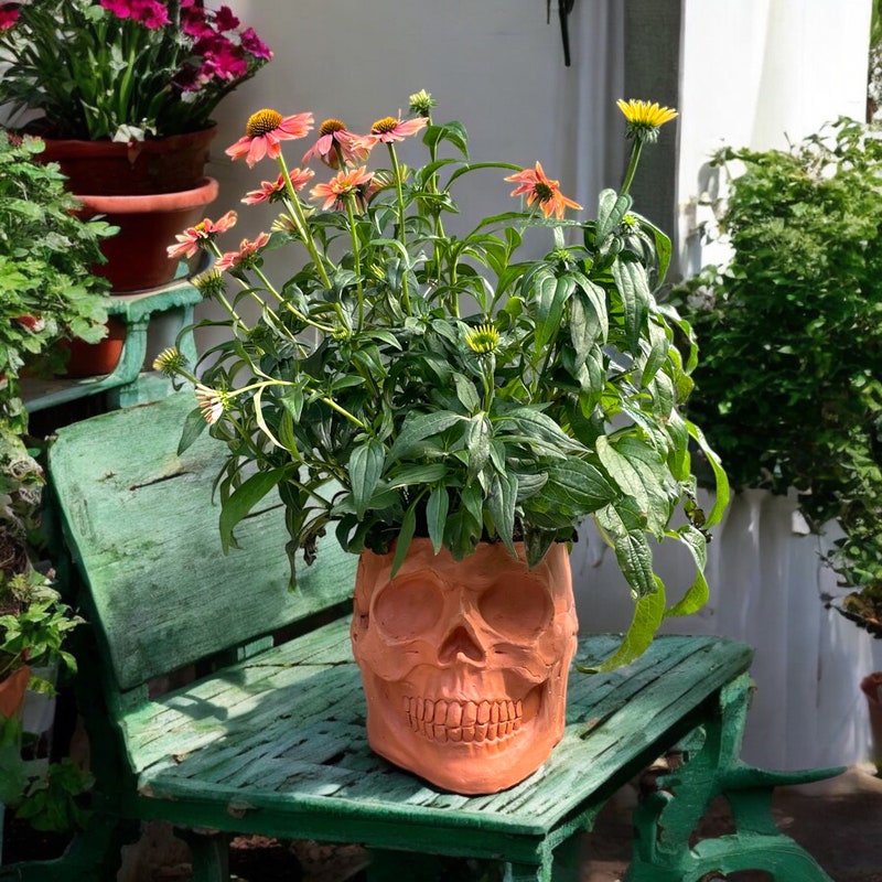 Skull Planter - Etsy