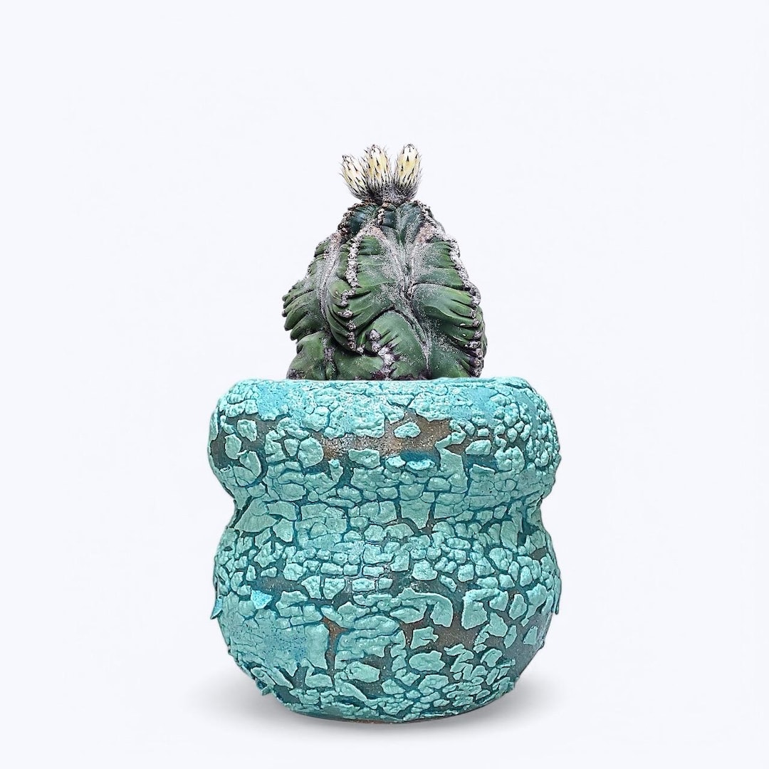 Handmade Stoneware Ceramic Cactus Planter with Turquoise Green Blue ...
