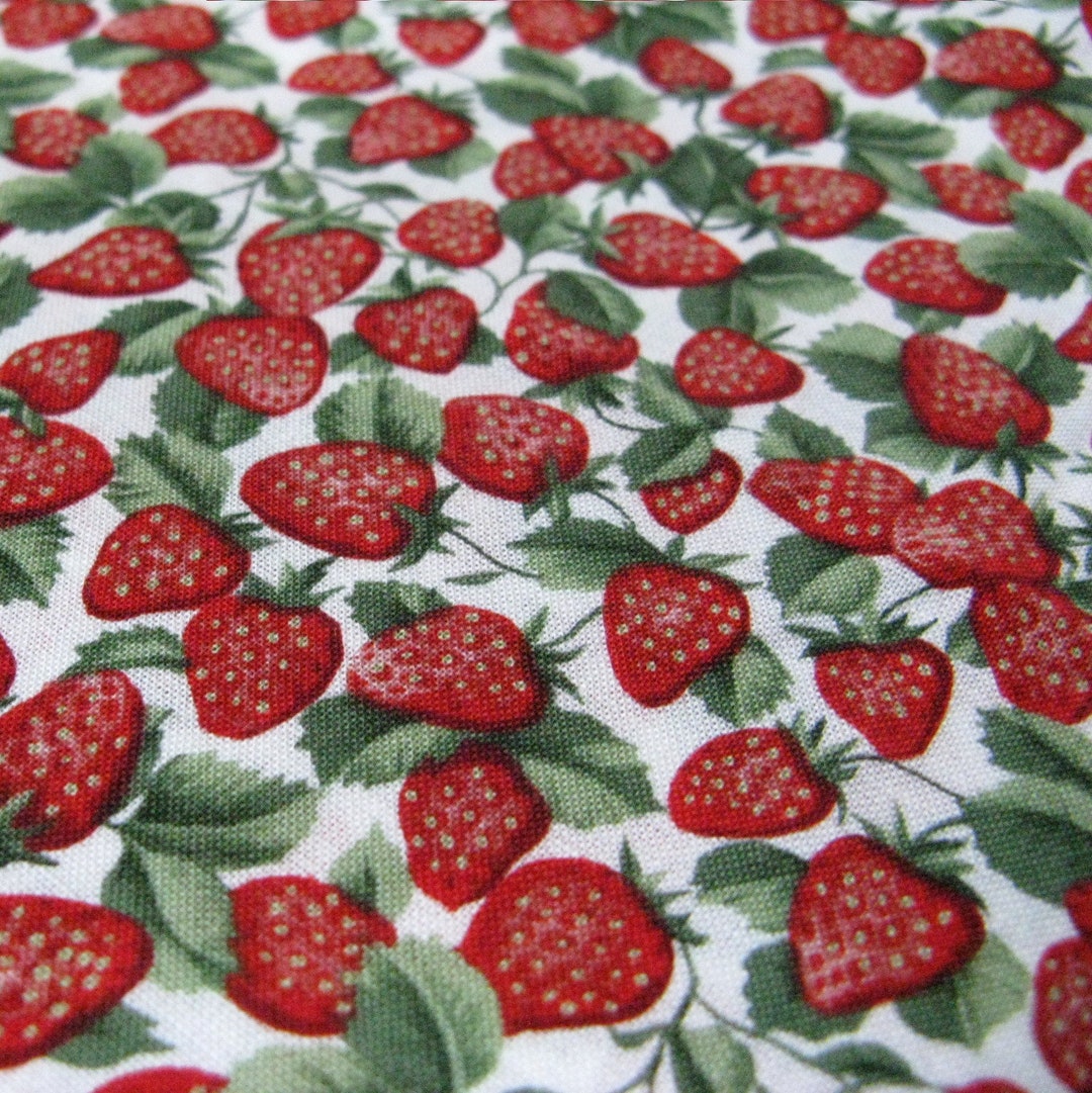 Daisy Kingdom Fabric, Small Strawberry Fabric, Allover Print, Cotton ...