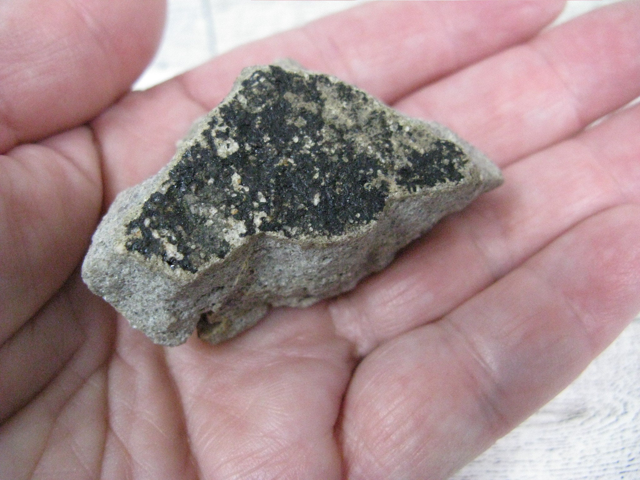 Authentic Cut From the Berlin Wall, Vintage 1989 Berlin Wall, COA Hyman ...