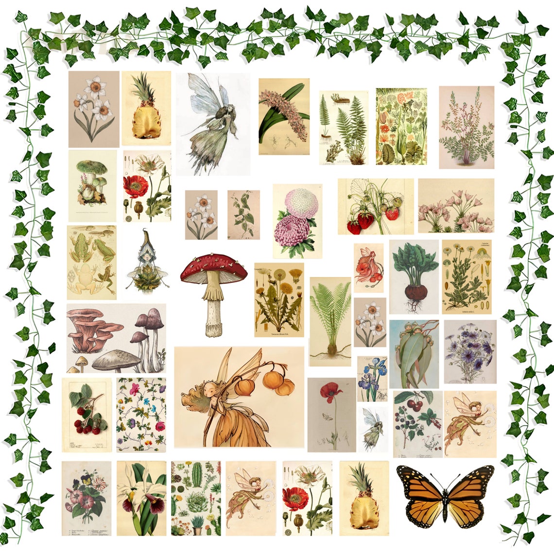 Vintage Botanical Posters, Fairycore Wall Collage Kit, Vintage ...