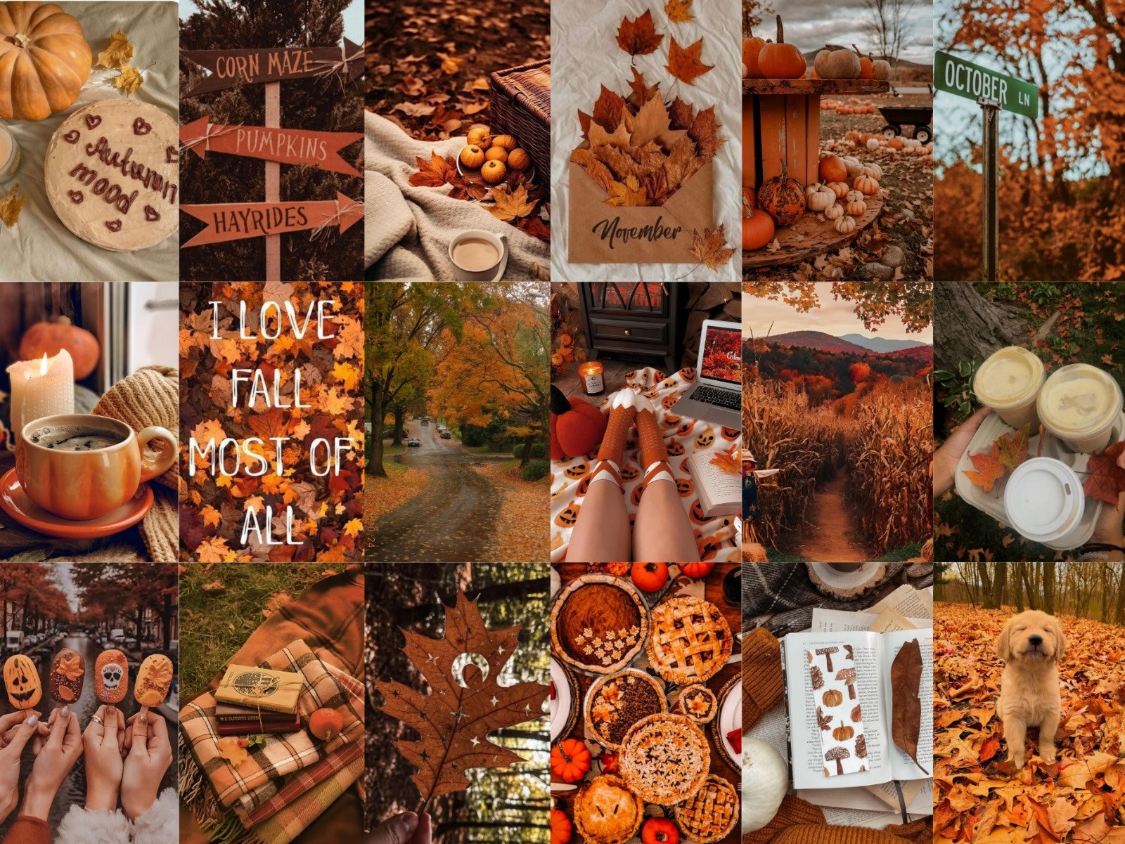 100+PCS Fall Aesthetic Collage Kit, Autumn Aesthetic, Fall Wall Art ...