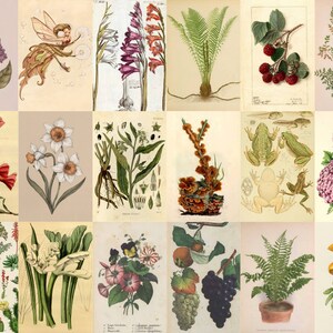 Vintage Botanical Posters, Fairycore Wall Collage Kit, Vintage ...