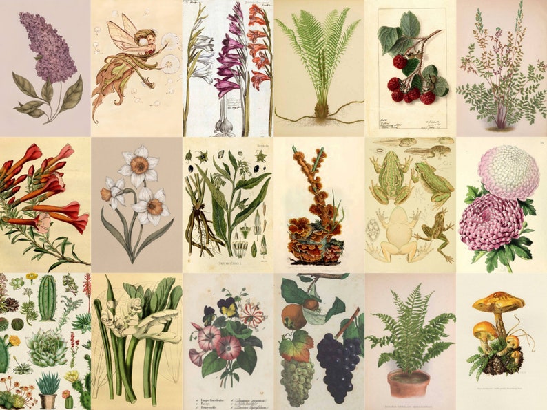 Vintage Botanical Posters, Fairycore Wall Collage Kit, Vintage ...