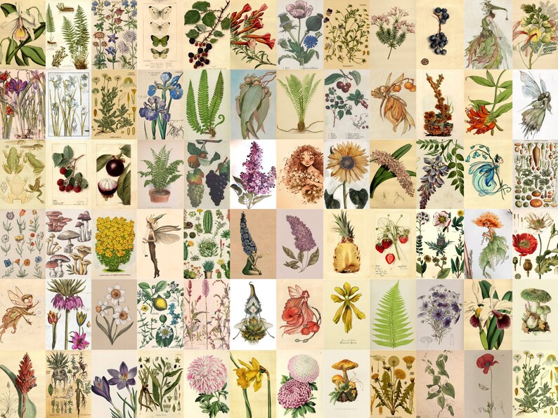 Vintage Botanical Posters, Fairycore Wall Collage Kit, Vintage ...