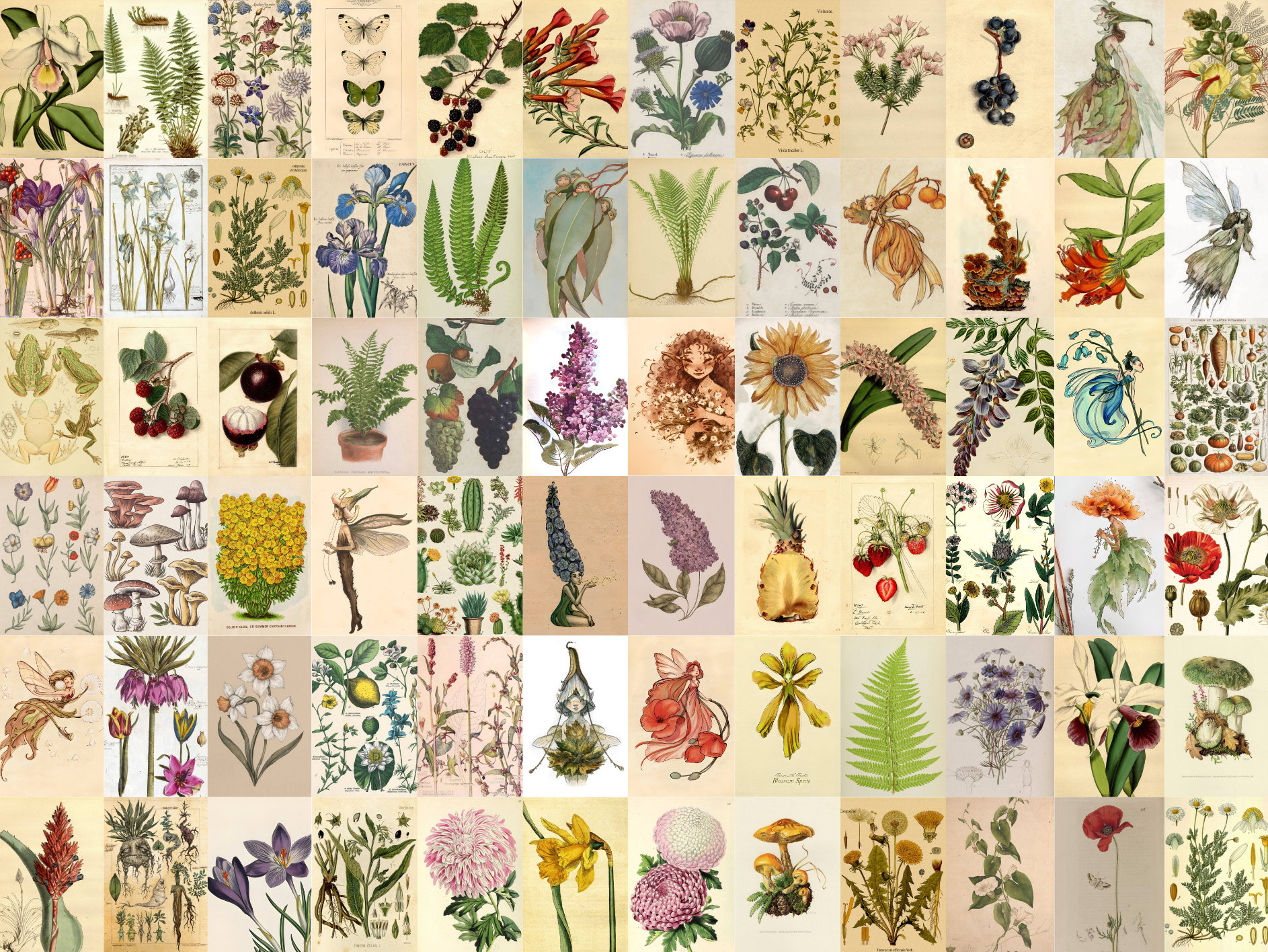 Vintage Botanical Posters, Fairycore Wall Collage Kit, Vintage ...