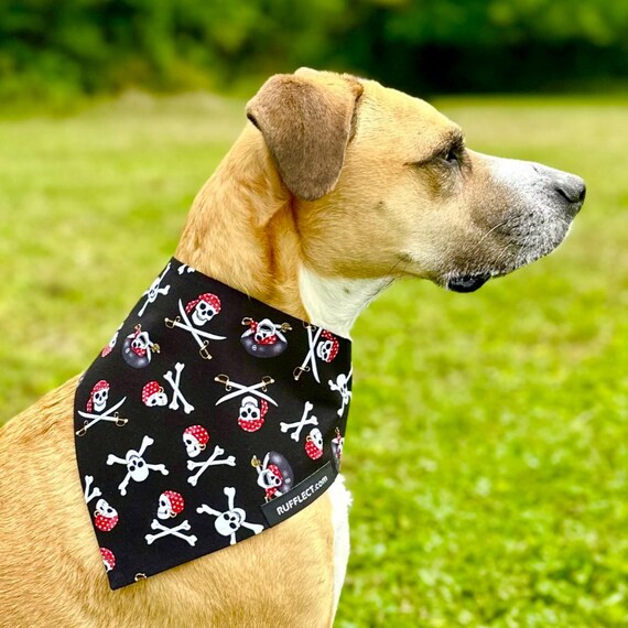 Pirate dog bandana store