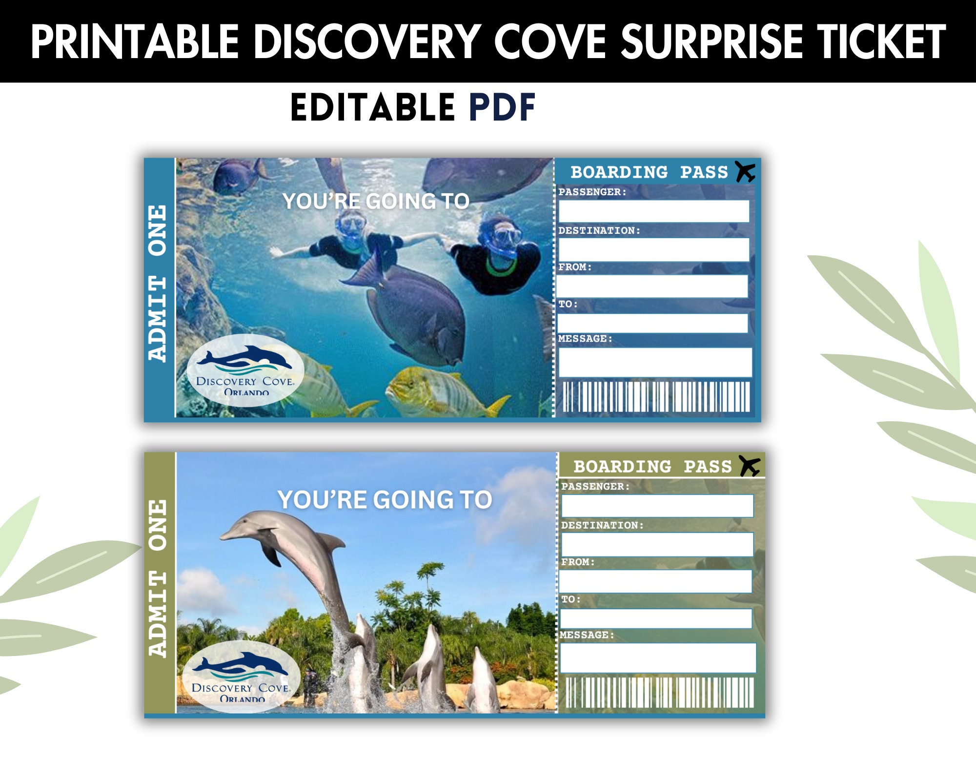 Printable Discovery Cove Surprise Ticket Template, Amusement Park ...