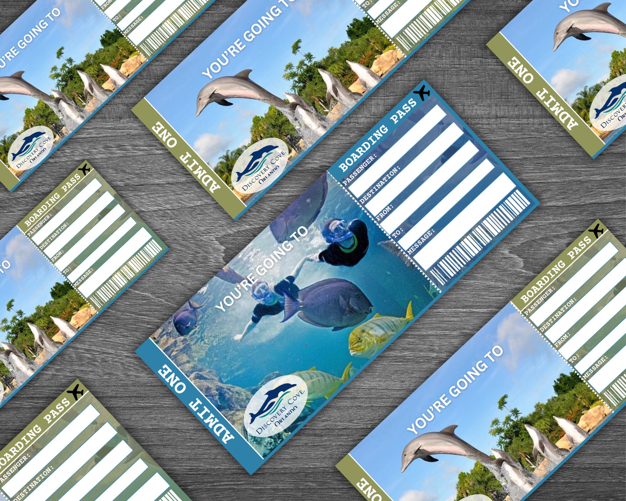 Printable Discovery Cove Surprise Ticket Template, Amusement Park ...